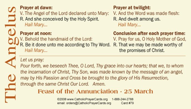 Printable Catholic Prayers Angelus The Angelus Prayer Card | Sunday